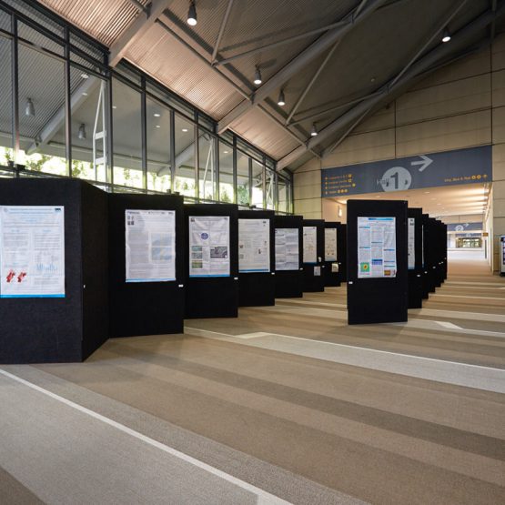 Vertical Display Panel on Castors - Moreton Hire